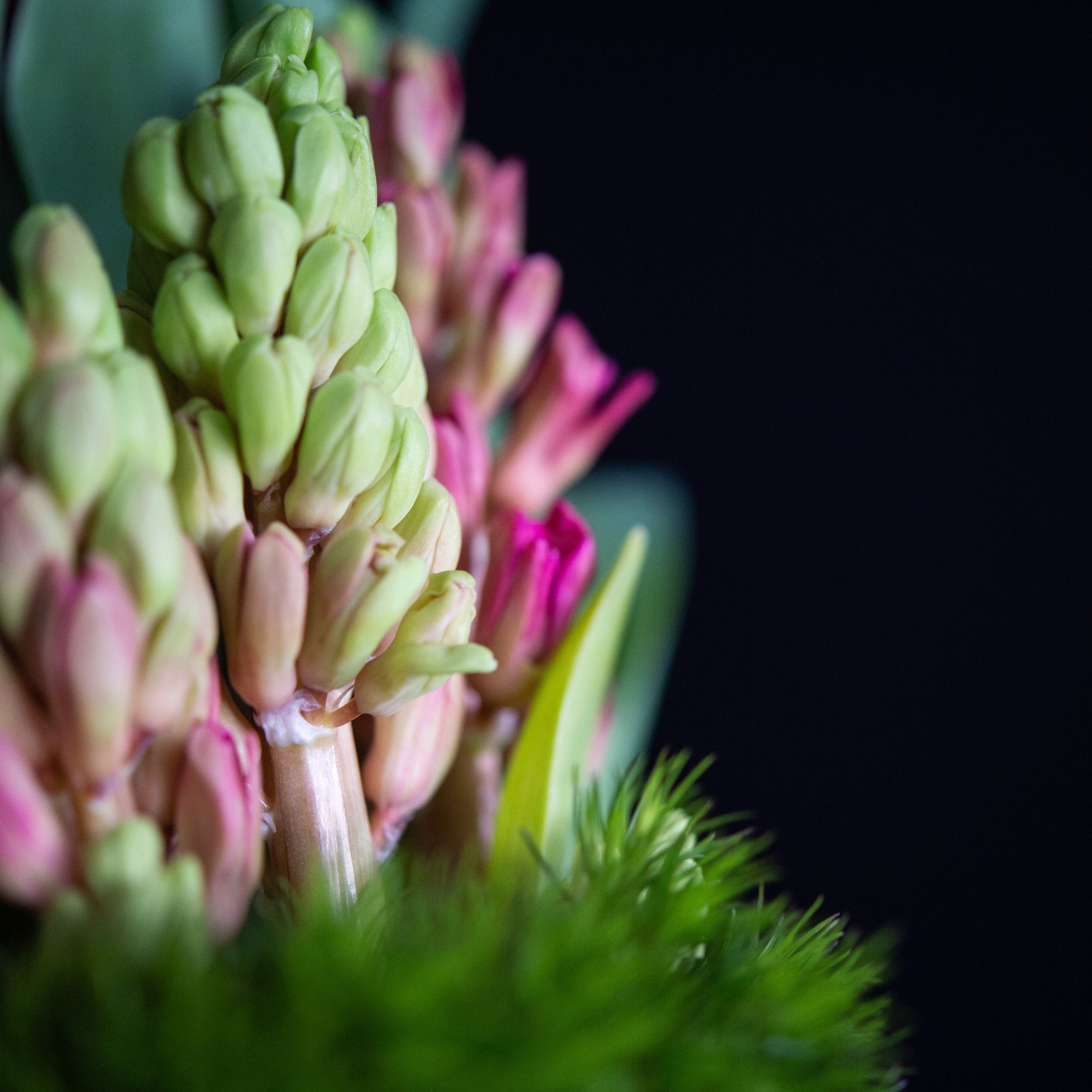 Flower Bar, A Luxury Floral Boutique